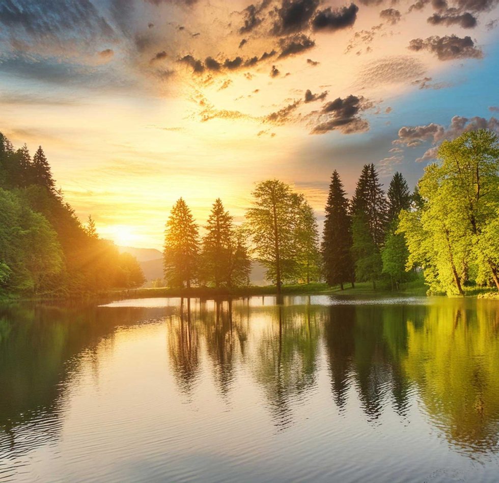 Contact Us | Ripple Industries, LLC